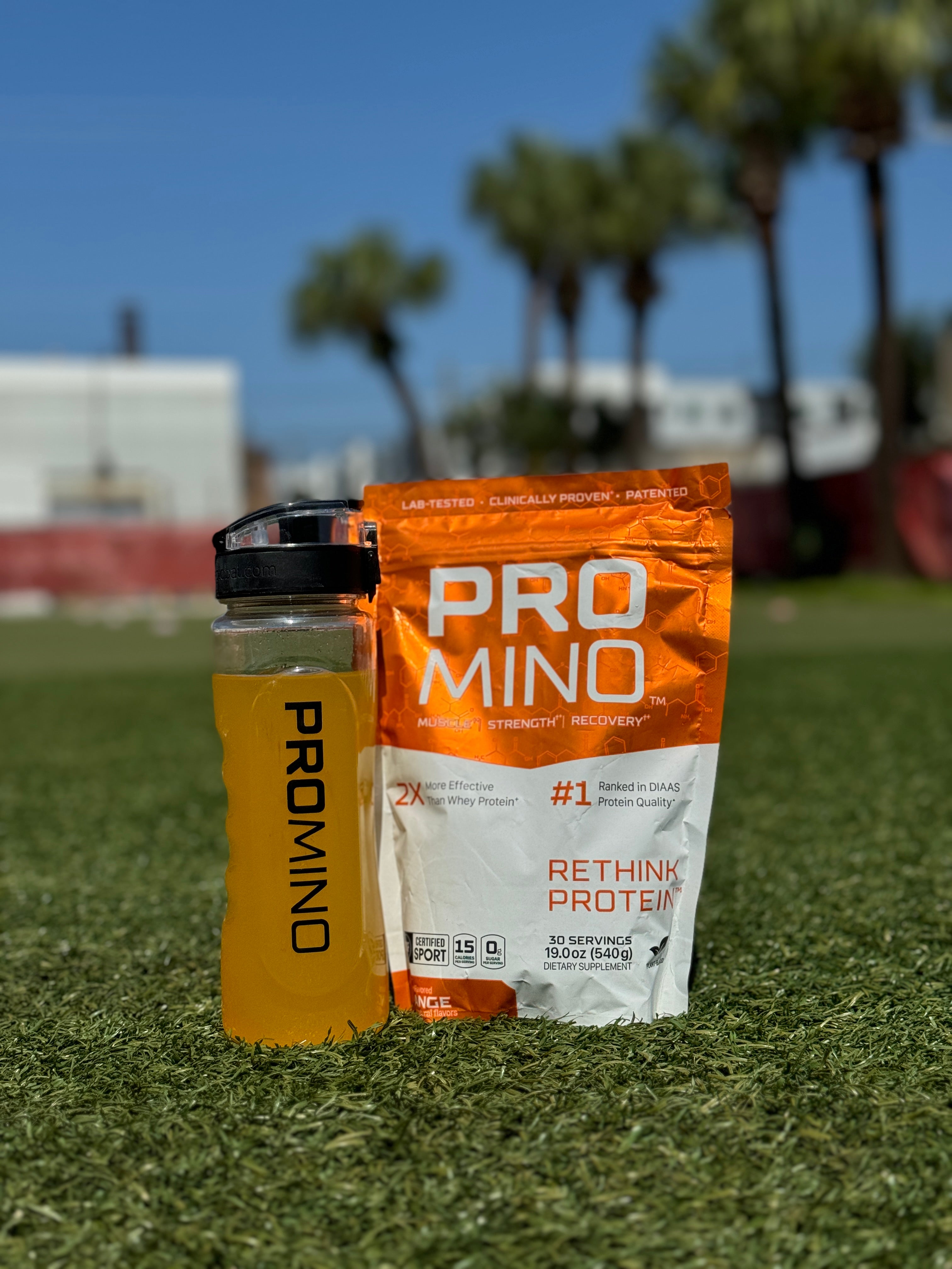Unlock Your True Potential with Promino: The Protein Revolution ...